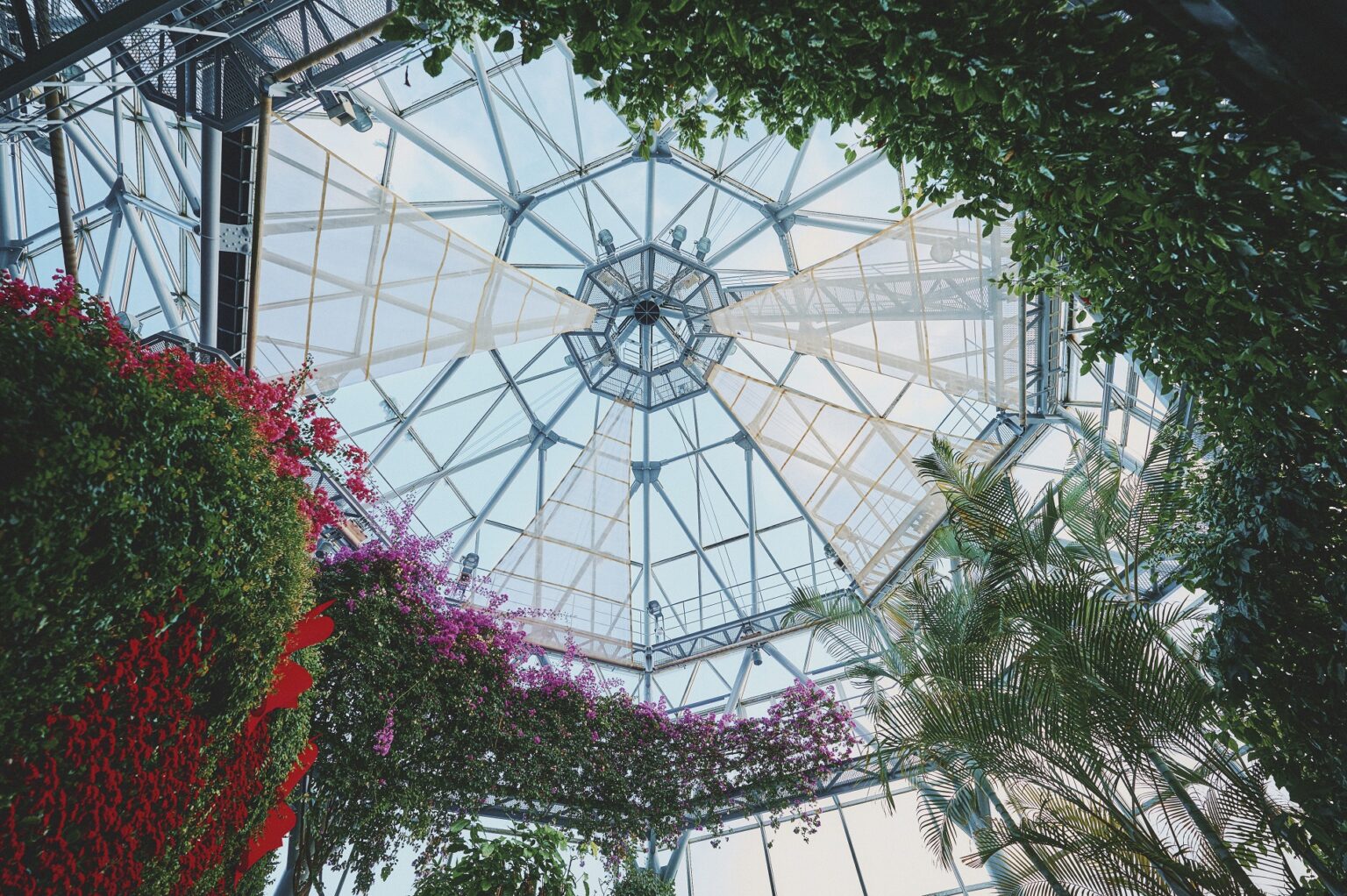 Winter Garden Fair 2025 -ほっこり楽しむ冬の散歩道- | 神戸布引ハーブ園／ロープウェイ